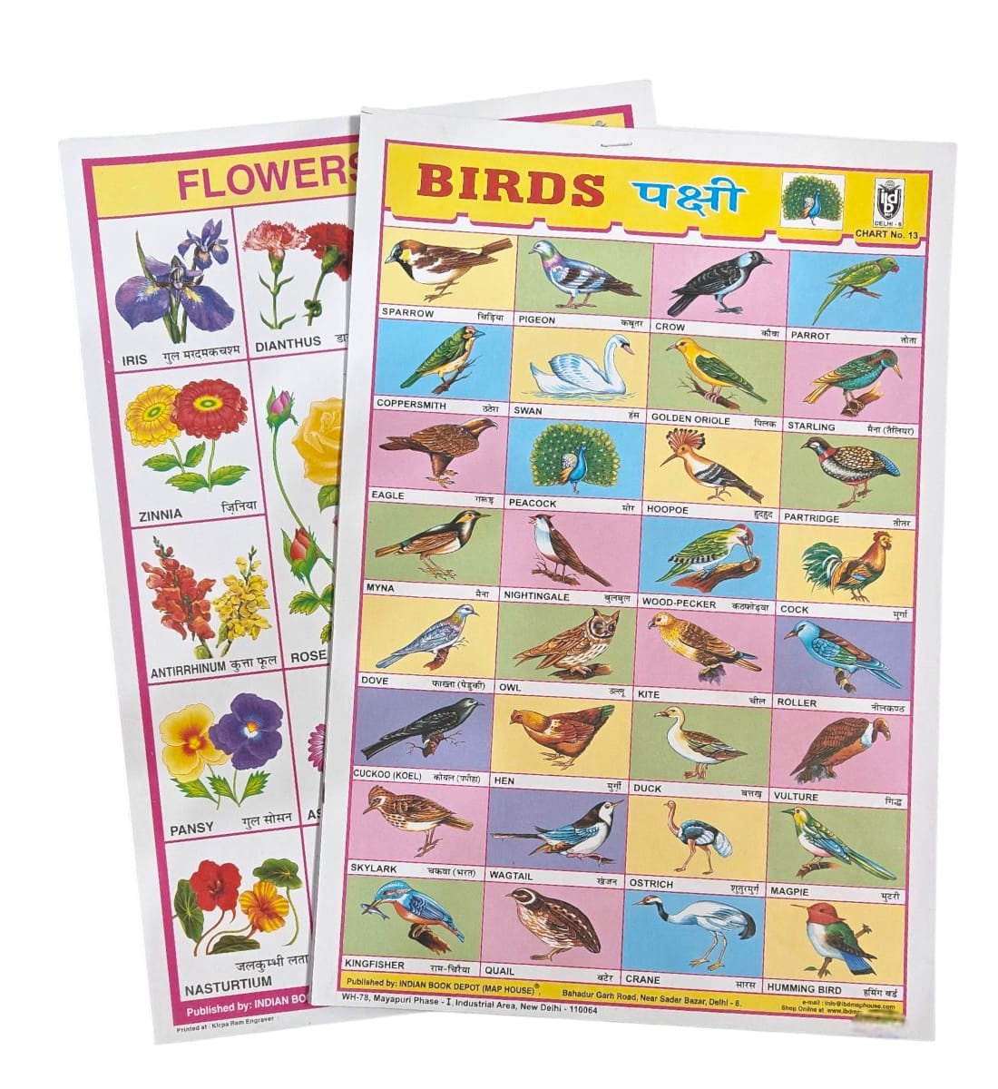Birds & Flowers Sticker Chart | 4 Sheets, 98 Stickers | Hindi & English ...